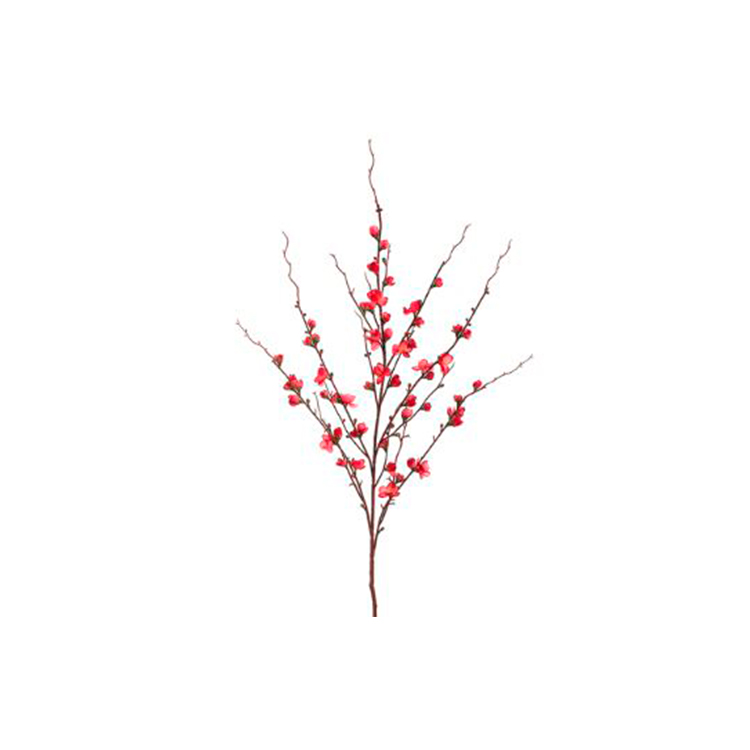 Accesorios / Botánicos - Gran variedad de artículos para decoración en ...